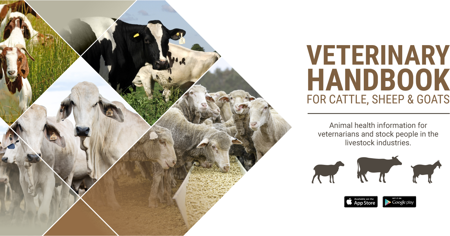 Veterinary handbook for cattle, sheep and goats > Home